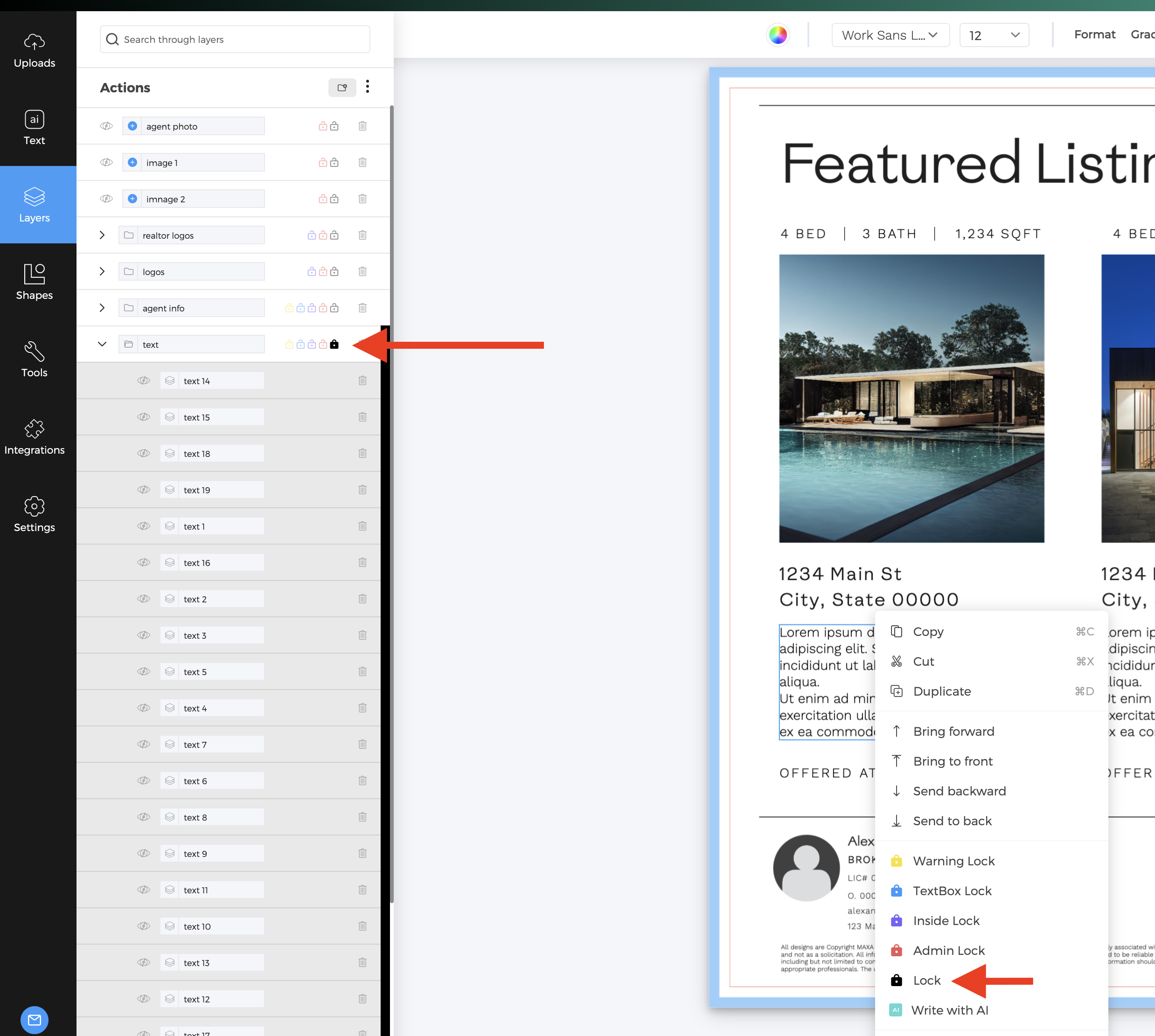 What are the locks in the layer panel and what do they mean?